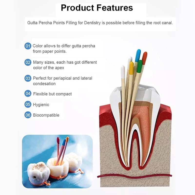F1-F3 Dental Absorbent Paper Points/Gutta percha points | Shopee ...