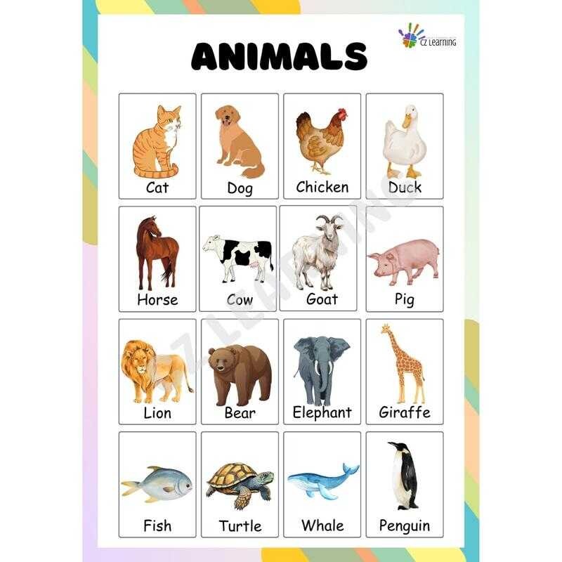Laminated Animal Wall Chart For Kids - Size A4/Poster Learning ...