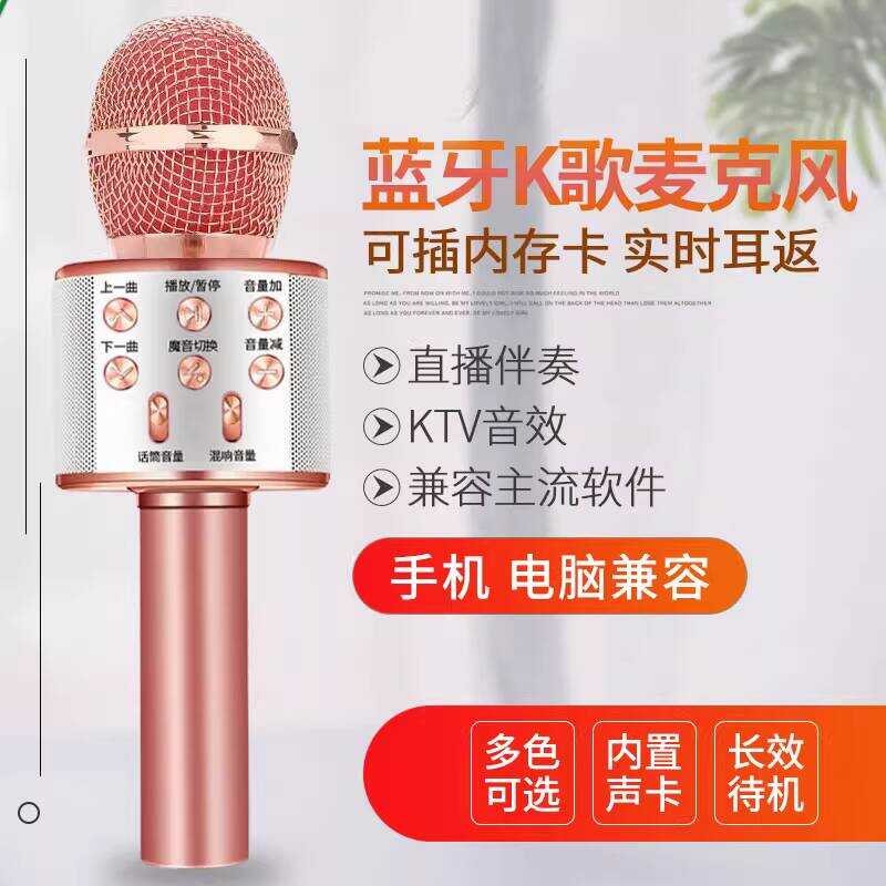 Smart Bluetooth Wireless Audio Integrated Karaoke Device Children's ...