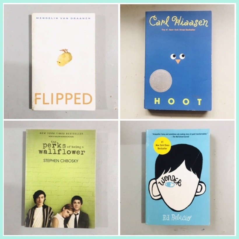 Preloved YA Novels | Perks of being a Wallflower flipped | Shopee ...