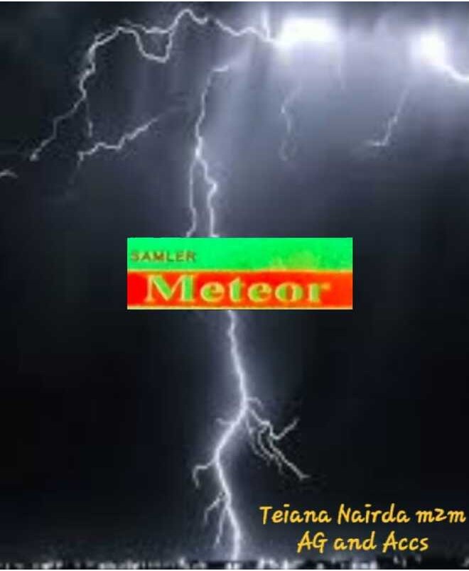 2025 Teiana Nairda m2m Meteor Fish Lead Weight | Shopee Philippines