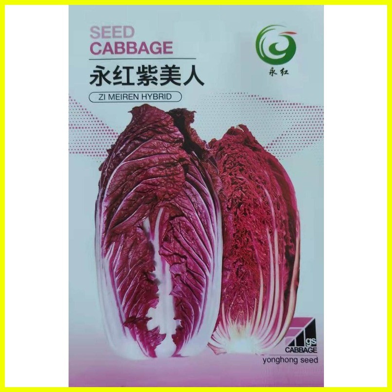 ♒ ⏗ Korean Napa Cabbage / Purple Red Pechay Baguio Vegetable Seeds ( 50 ...