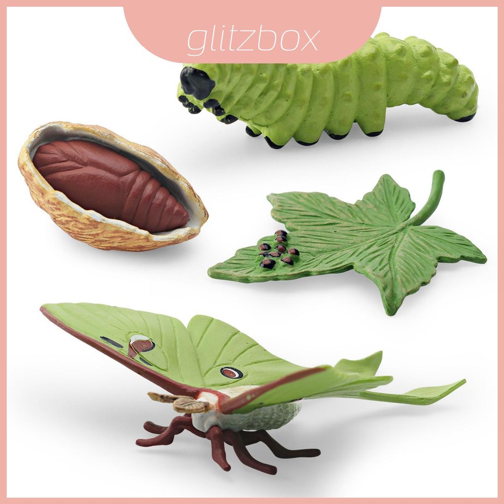 4 Pvc Realistic Piece Luna Moth Growth Cycle Model Detailed Figurine ...