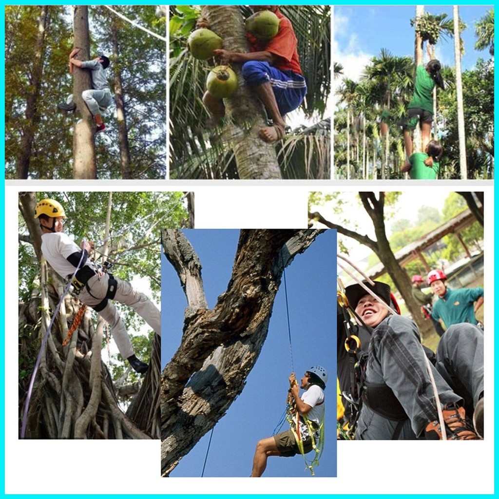 2PCS Coconut Tree Fast Climbing Tools Tree Climbing God Paw Tool Tree ...