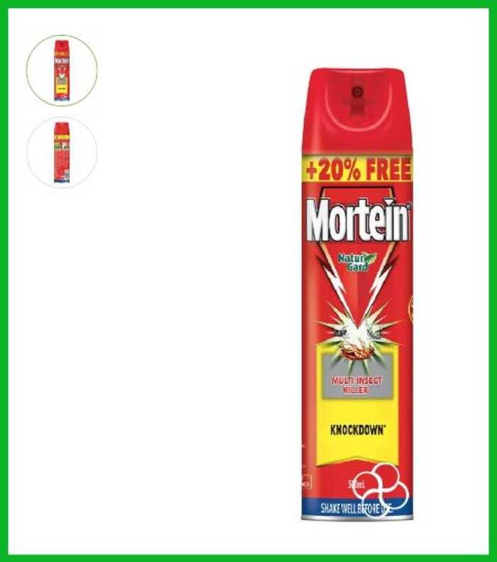 MORTEIN MULTI INSECT KILLER SPRAY (Citrus)- 500Ml | Shopee Philippines