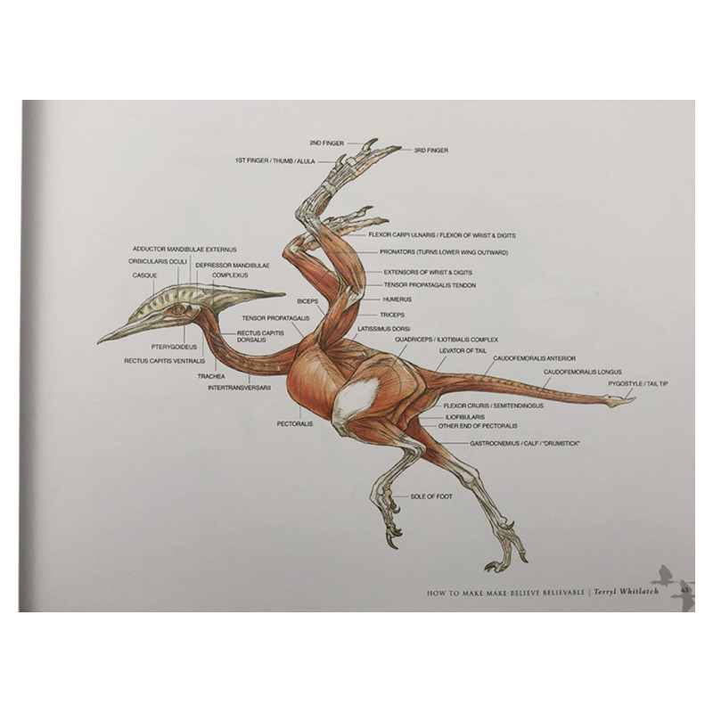 Principles of Creature Design: Creating Imaginary Animals by Terry ...