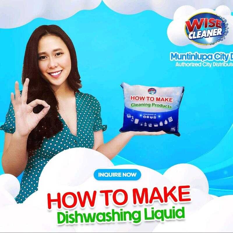WISE CLEANER DISHWASHING LIQUID DIY KIT | Shopee Philippines
