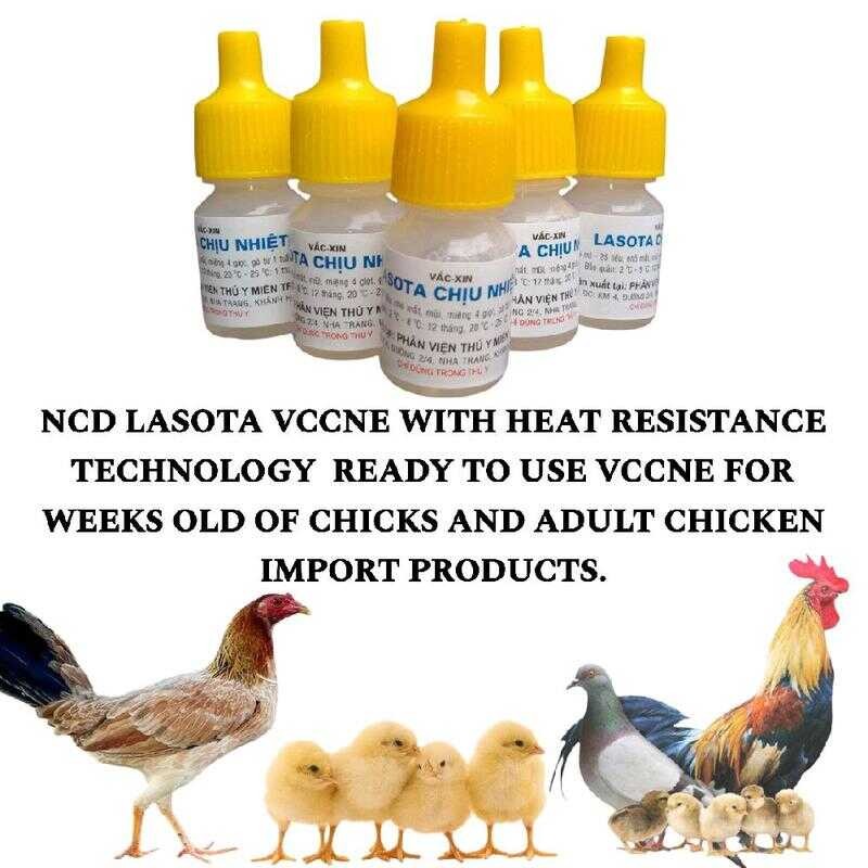 NCD Lasota Live Vccne Ready To Use For Chicks Chickens Gamefowsl Birds ...