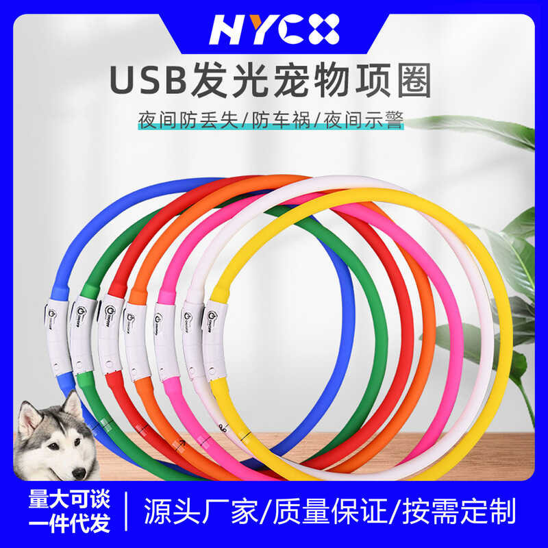 Dog Maliwanag Kwelyo Naglalakad Gabi Tumatakbo Para Gabi, Malaki At ...