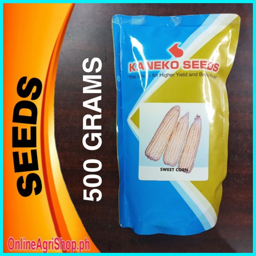 SWEET CORN SEEDS / SWEETCORN OPV SEEDS 500 GRAMS (KANEKO SEEDS) | Shopee Philippines
