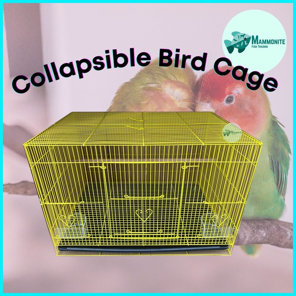Colored BIG Collapsible Bird Cage Set 76x46x46cm | Shopee Philippines