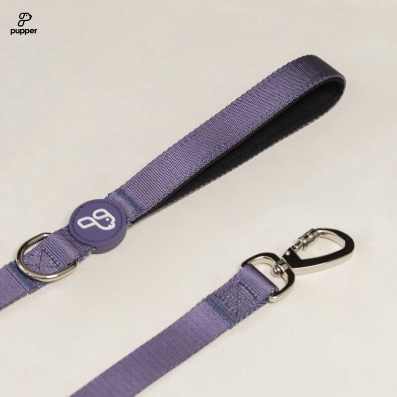 Pupper Minimalist Dog Leash sa Lavender (Padded Handle at Lockable Hook ...