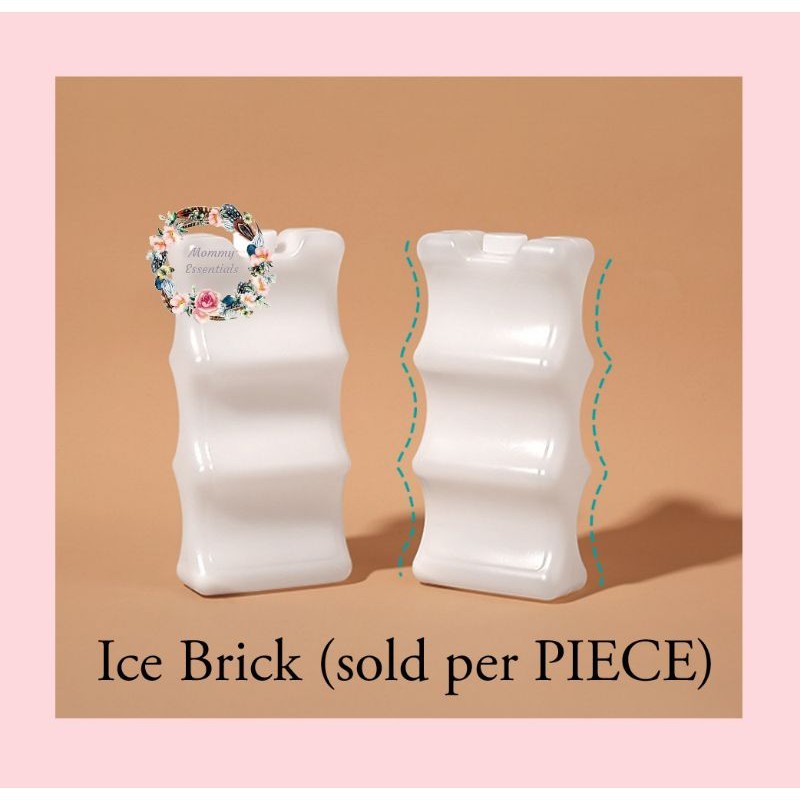 Ice Brick (sold per pc) | Shopee Philippines