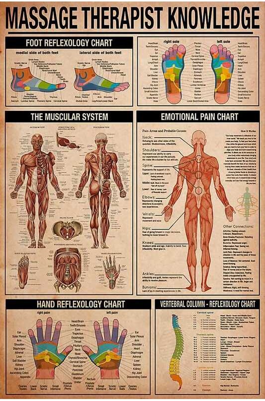 Massage ☥ Therapist Knowledge Canvas Emotion Pain Foot Reflexology ...