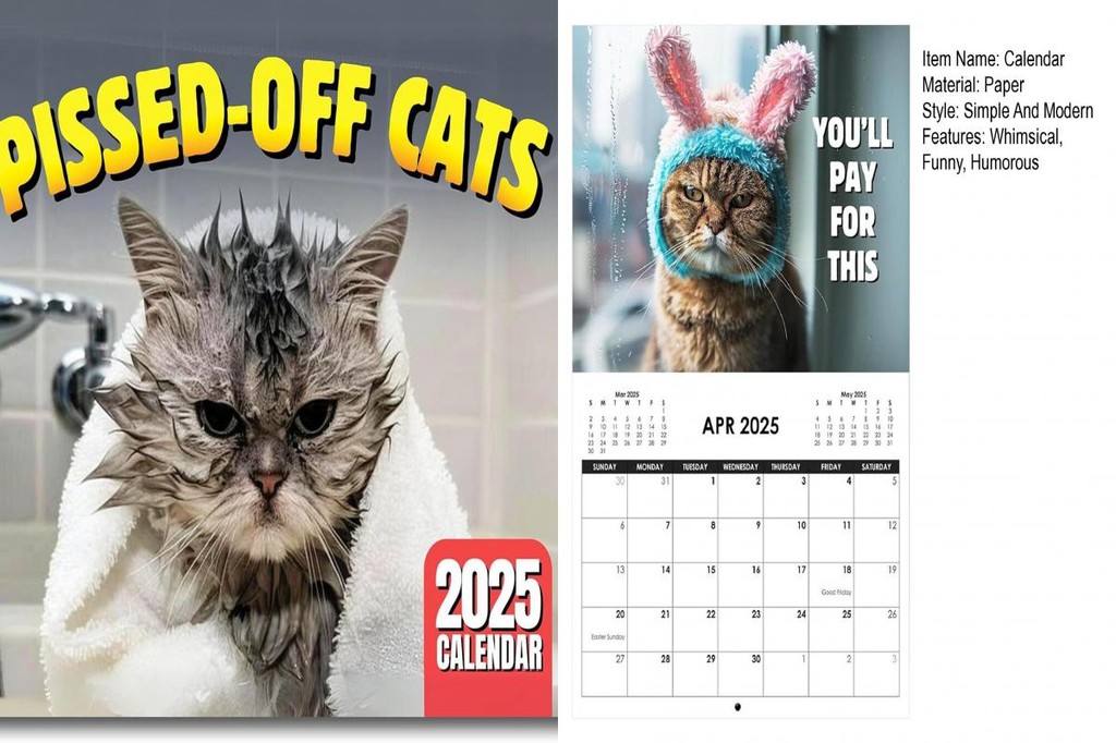 Angry Cat Calendar 2025 Premium Paper Cat Calendar 2025 Funny Cat ...