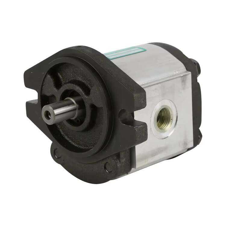 ARGO-HYTOS Gear Pump GP1/GP2/GP3 Series GP1-0.8L-ACKG-AGBPA-N High ...