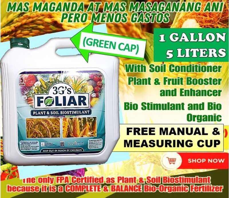3Gs SUPER FOLIAR SOIL & PLANT Adjuvant, Bio-Stimulant, LIQUID BIO ...