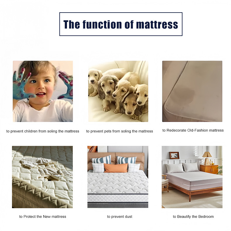 Soft Foam Cover With Zipper Plain Single Mattress Protector Semi-Single ...