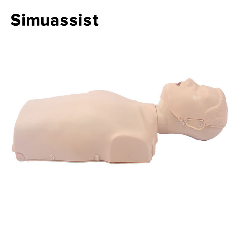 Adjustable Medical Science Half Body Training Mannequin Manikin CPR ...