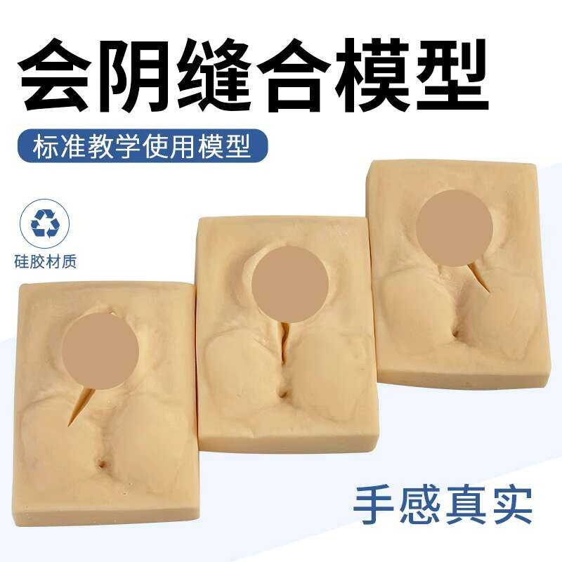 Tt Perineal Practice Module Obstetrics And Gynecology Suture Training ...