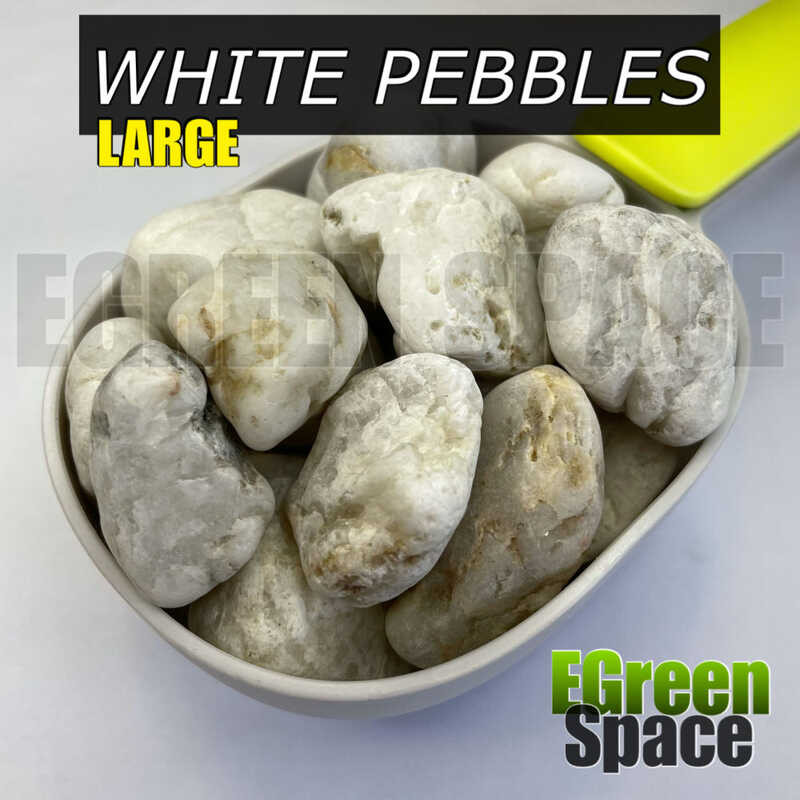 White Pebbles Stone (Large) - 1Kg F10 | Shopee Philippines