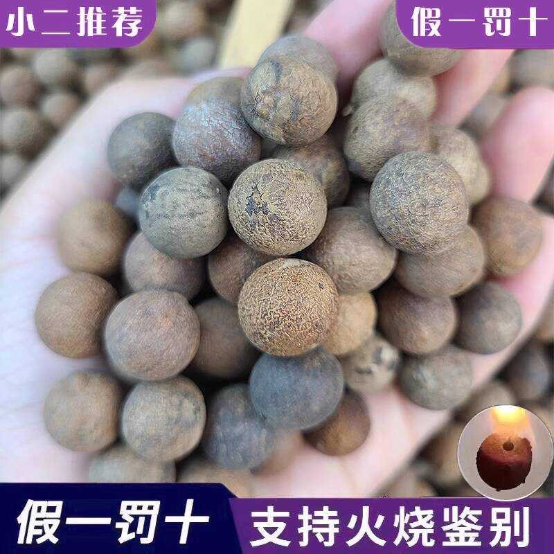 Bodhi Root Natural Original Fruit Original Seed Large Fruit Small Fruit ...
