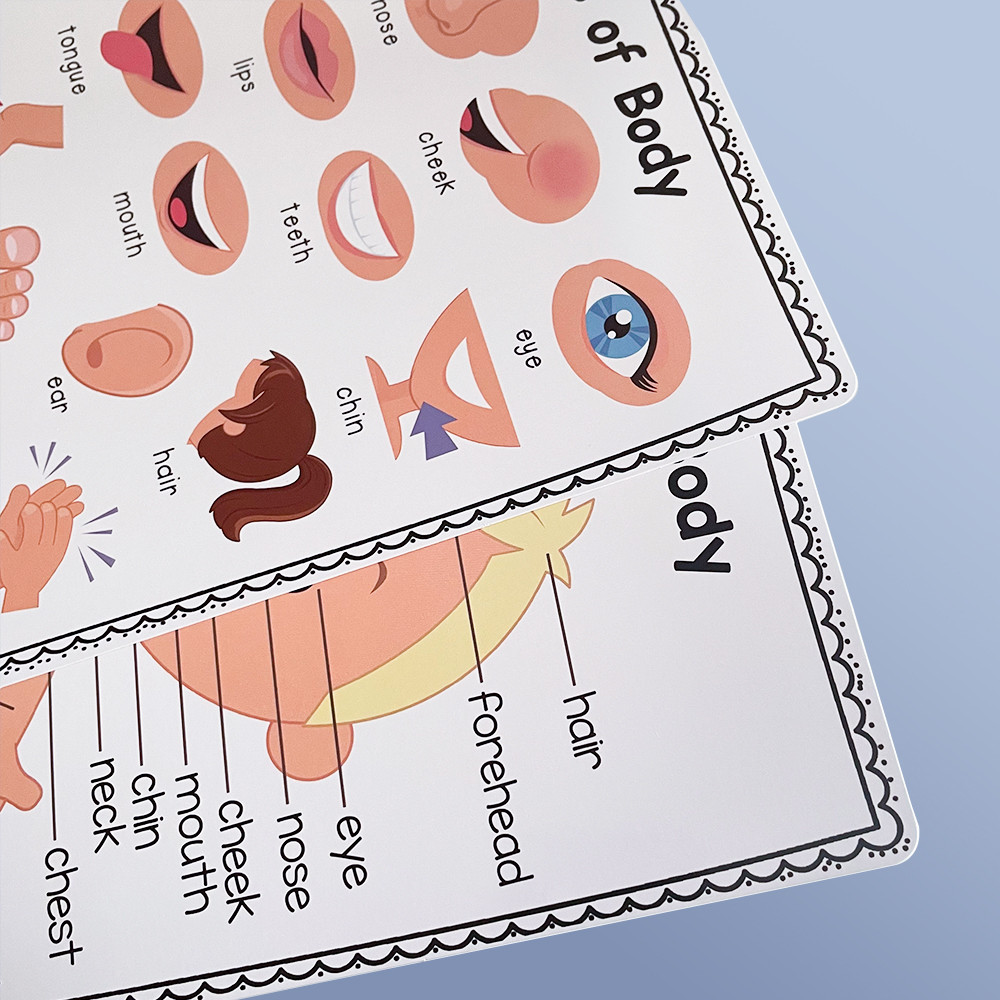 2 pcs Educational Posters,learning Body Parts Posters for kid,Preschool ...