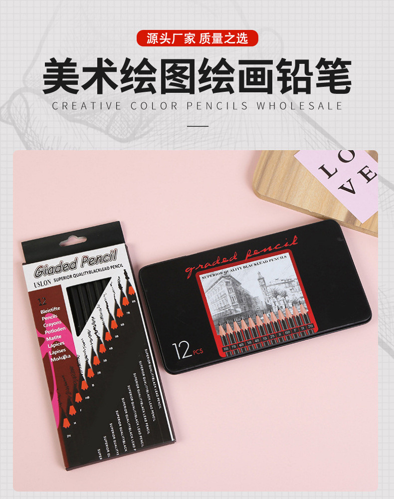 12pcs/set Art Drawing Pencil Box Sketching Pencil Set Drawing Learning ...