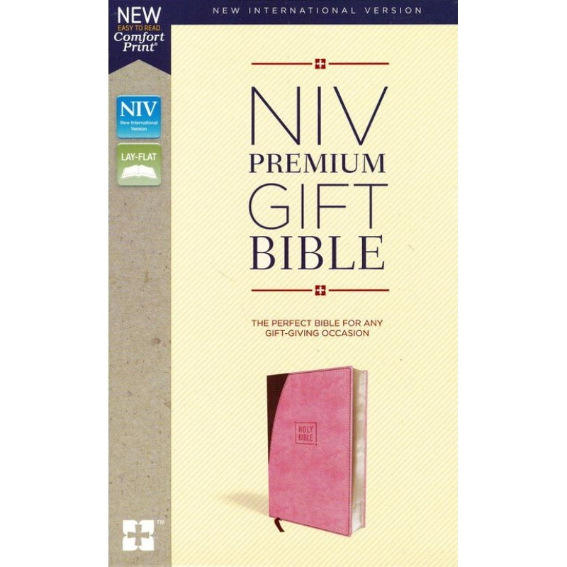NLT/KJV/NKJV/NIV/HCSB/CSB PREMIUM GIFT BIBLE & KIDS/TEENS BIBLE ...