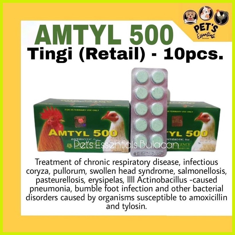 Amtyl 500 Tingi (Retail) - Isang banig (10 pcs) | Shopee Philippines