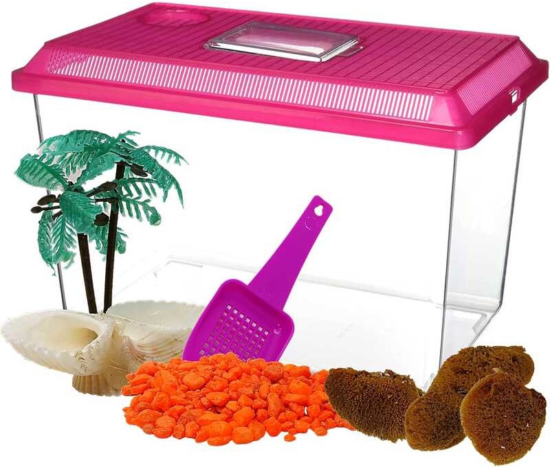 All in One Starter Kit Hermit Crab Habitat Supplies, DIY Terrarium Pack ...