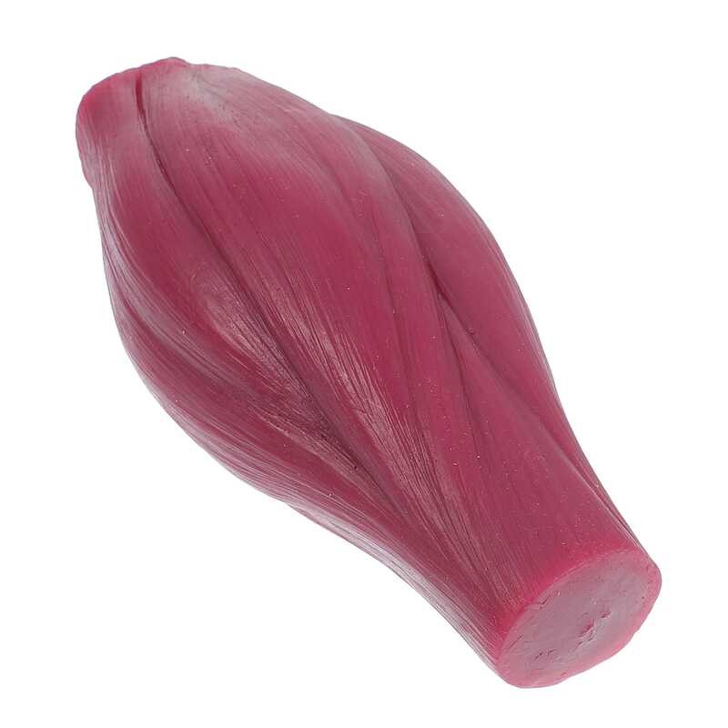 Muscle Model 1 Pound Replica Lb Ipapakita Siphon Human Silica Gel Child ...
