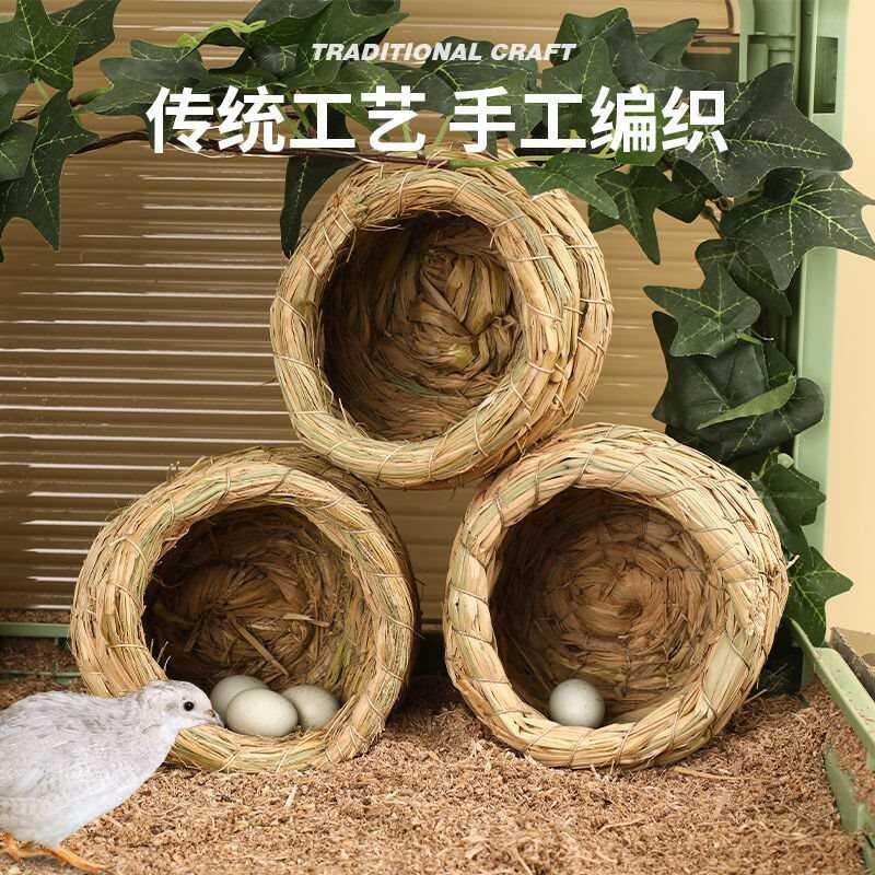 Weaving Rutin Hatching Chicken Egg Laying Quail Parrot Bird Warm Grass ...