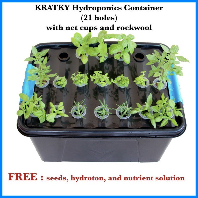 Kratky Hydroponics Container with Growing Kit (40L) | Shopee Philippines