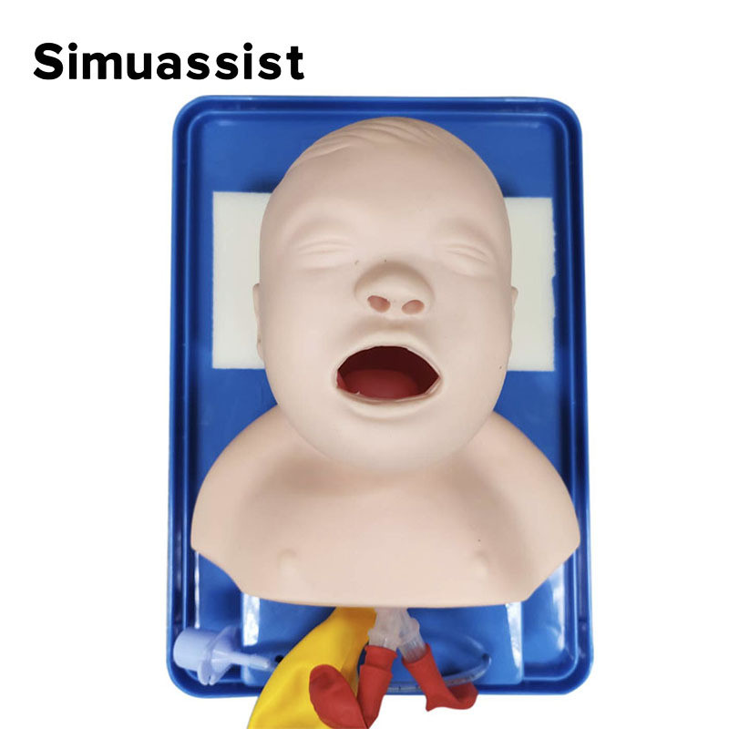 Neonatal Model Infant og Double Lung And Stoh Expansion Newborn ...