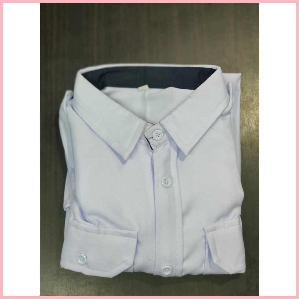 Security Guard Uniform Long Sleeves (WHITE AND BLUE) | Shopee Philippines