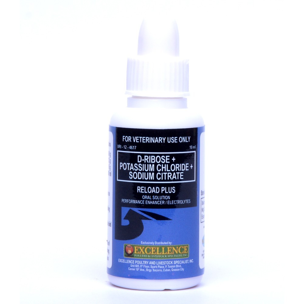 Reload Plus Excellence Rockdove 10 ml | Shopee Philippines
