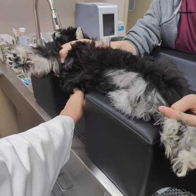 ☑♥ Pet Fixed Animal Veterinary Cat Dog Ultrasound Mat V-Shaped Groove ...