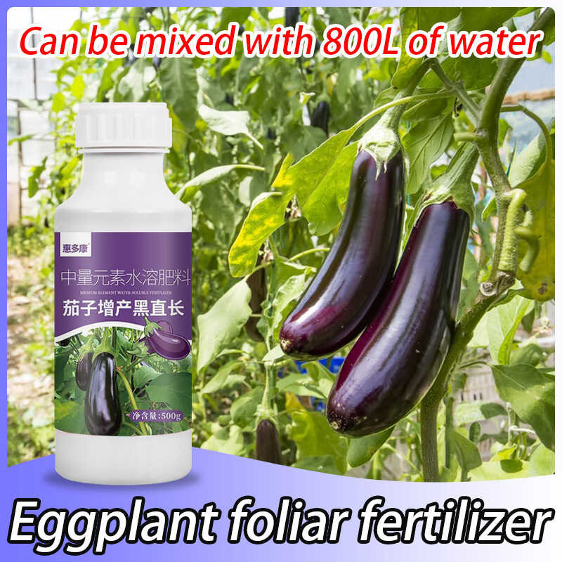 \12304; Efficient pag-absorption, pinataas na produksyon Eggplt foliar ...