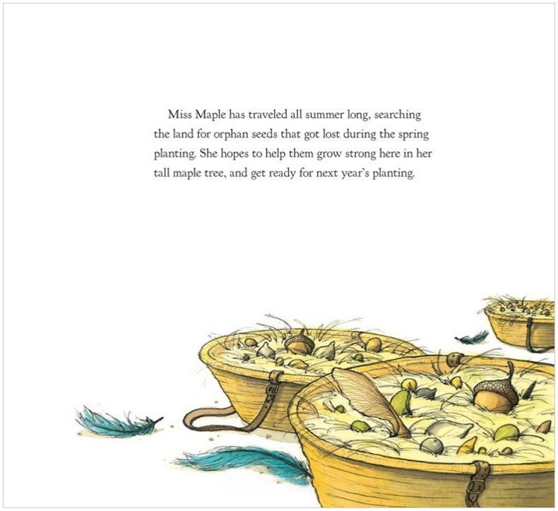 (In Stock) 【Butterfly Page】Miss Maples Seeds by Eliza Wheeler Paperback ...