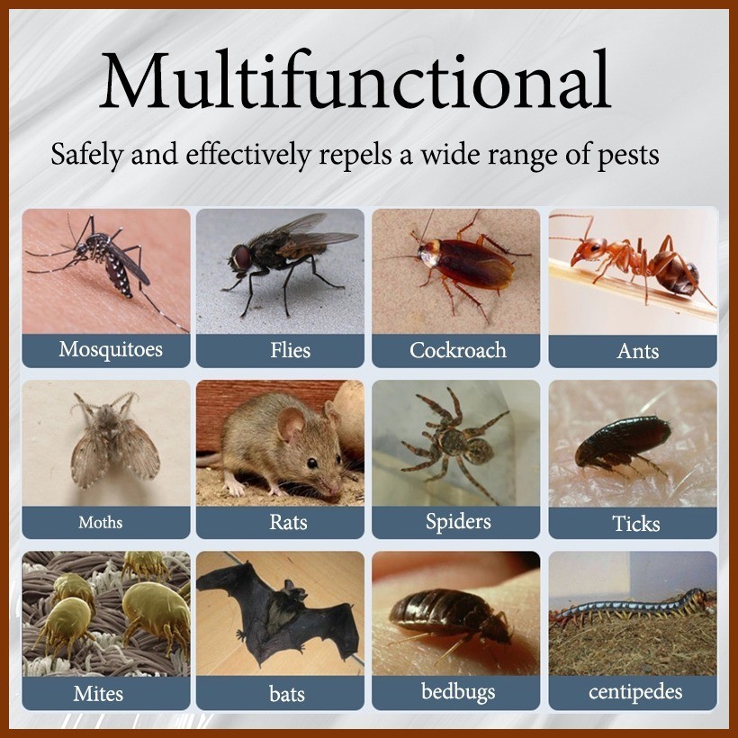 No Rat Within 400m Indoor Ultrasonic Rat Repellant Mice Killer Non ...