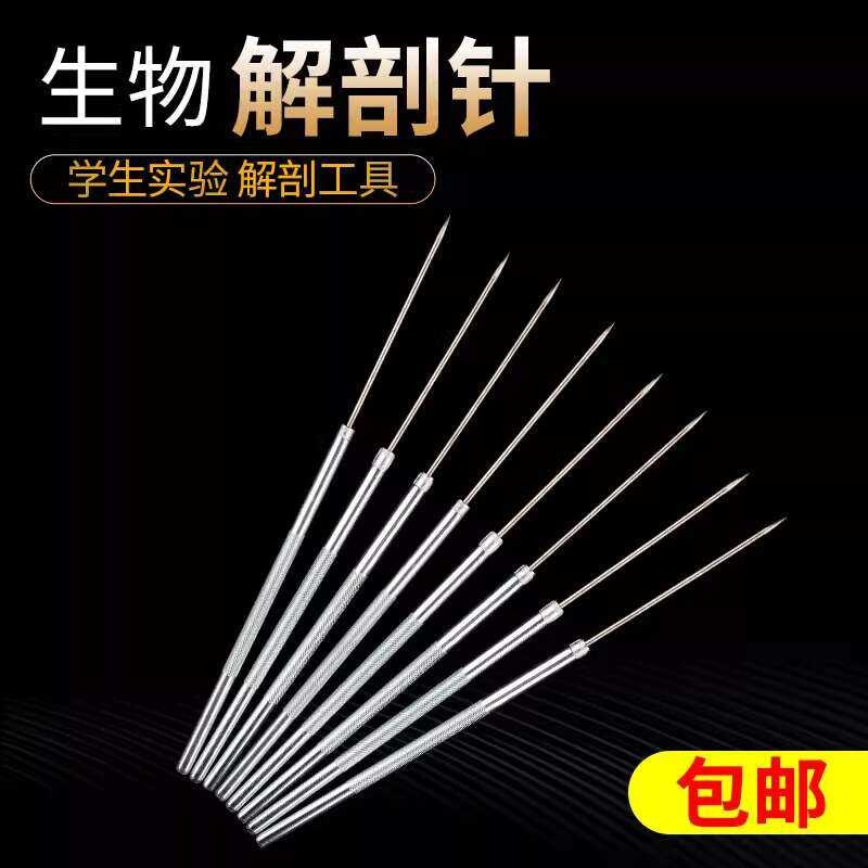 ♣ Insect Needle Middle School Biology Stainless Steel Probe Straight ...