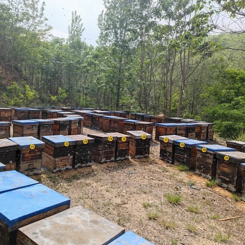 10/20/50pcs Portable Beehive Tags Numbers Sign Labels Livestock ...