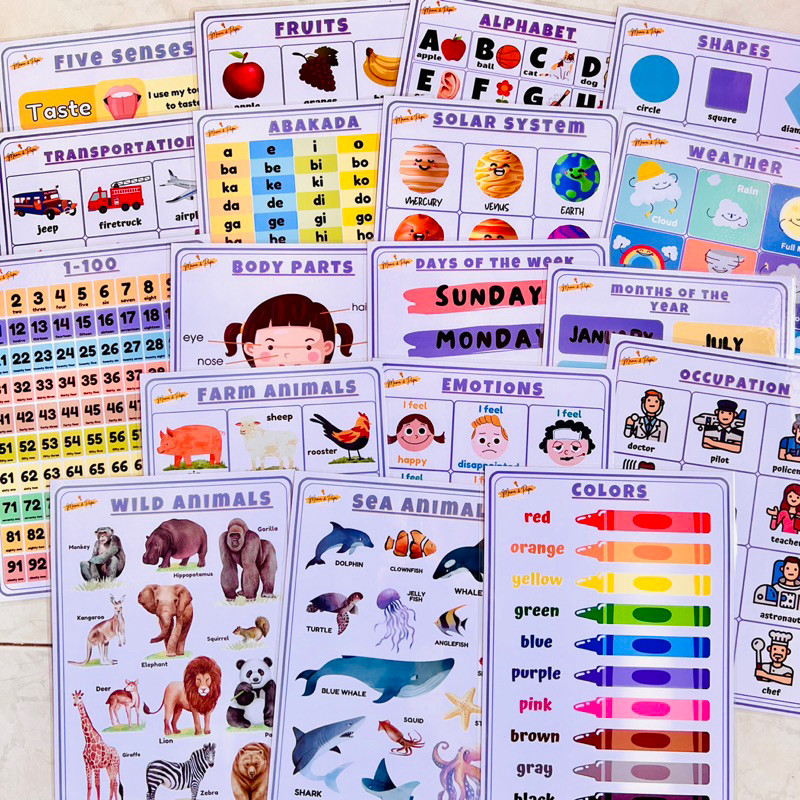 PURPLE Kids Educational Wall Charts PURPLE BUNDLE SET + free charts ...