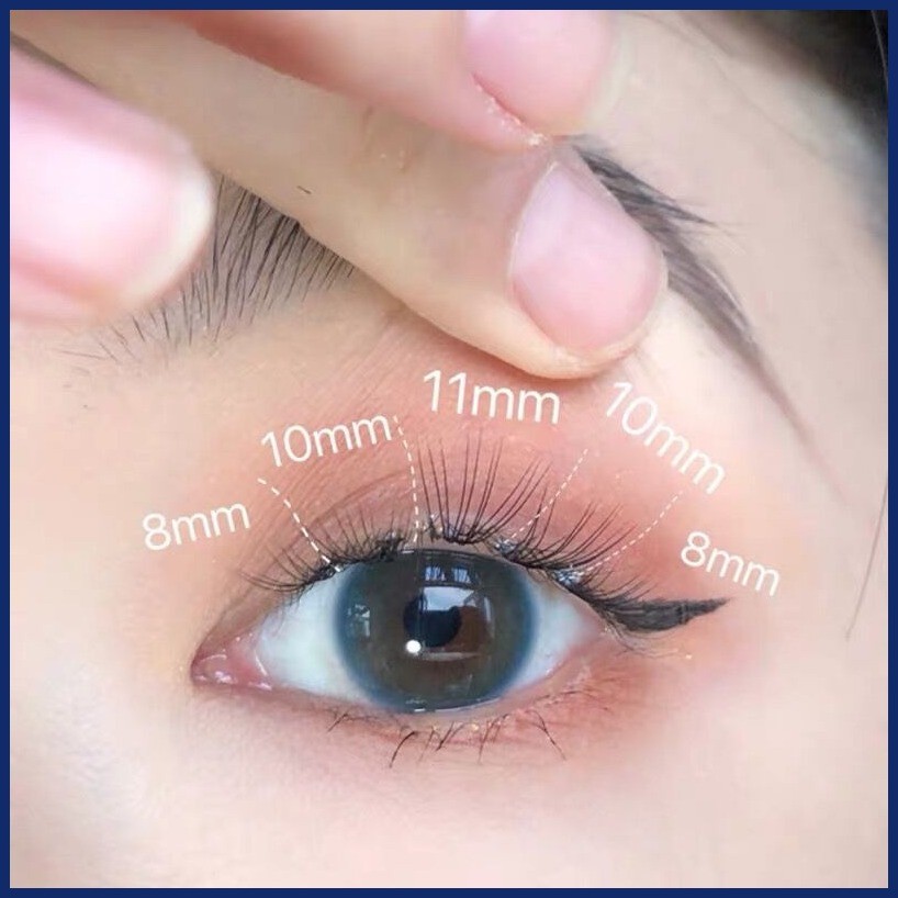 ⚠ 10D Eyelashes Extension Professional Kit Natural False Lashes Set ...