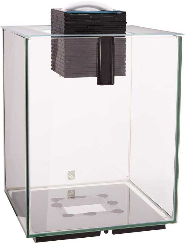 Fluval Chi II Series Set, 5-Gallon - Aquarium Tank with Ambient LED ...