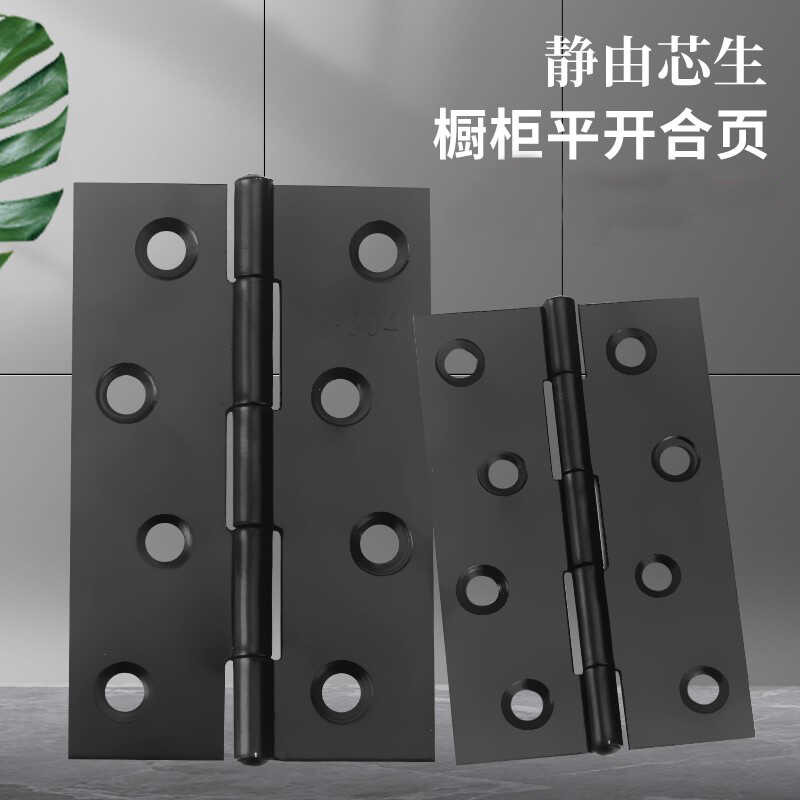 LY Black Small Hinge Cabinet Door Stainless Steel Flush Micro Mini ...