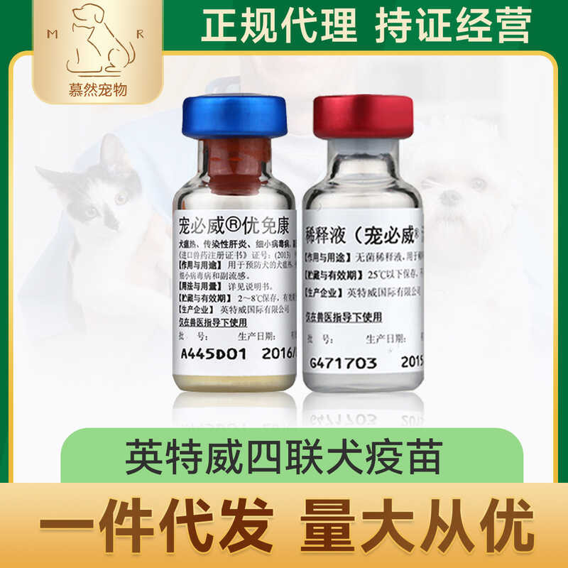 Intervet Quadrivalent Vaccine Dog Vaccine 4-in-1 Puppy Canine Distemper ...