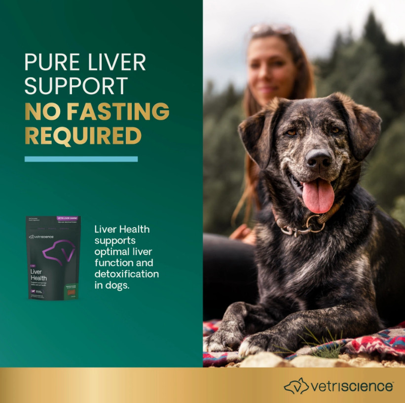 VetriScience Liver Health for Dogs Supporting Normal Detoxification 60 ...