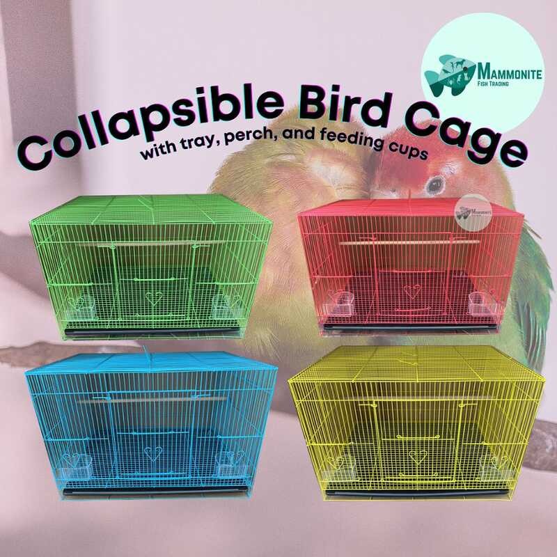 Colored BIG Collapsible Bird Cage Set 60X40x40cm | Shopee Philippines
